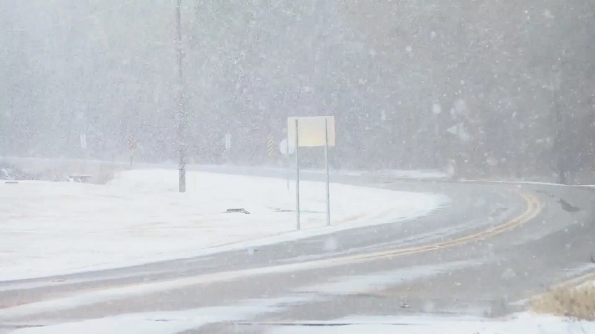 Winter Storm Blankets Wiregrass Region in Snow - Dothan Daily